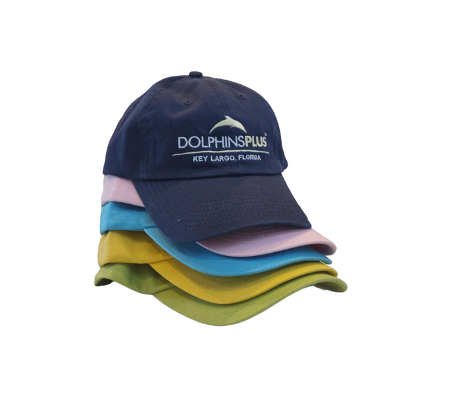Hat Baseball | Dolphins Plus Bayside, Inc.